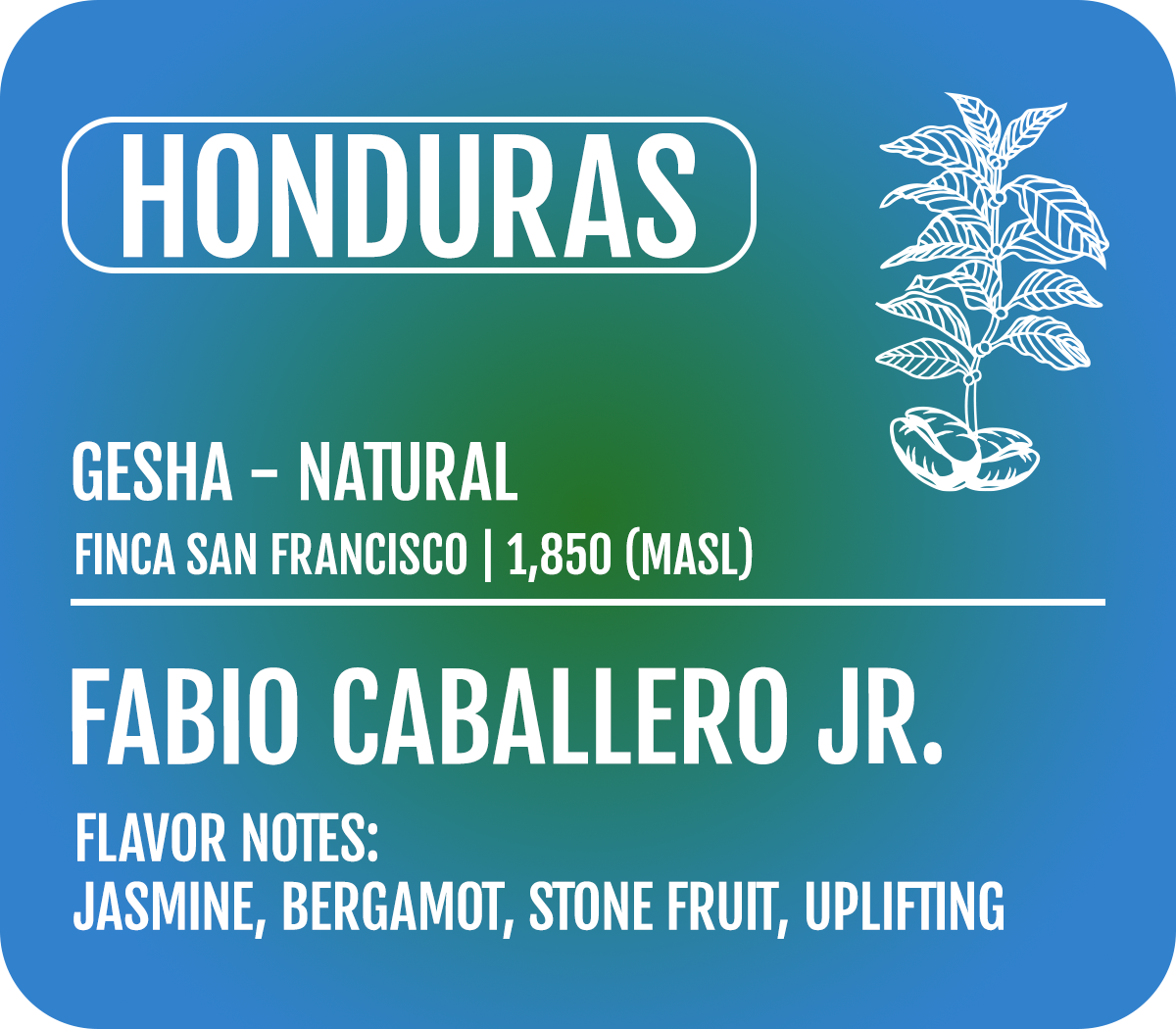 Fabio Caballero Jr. - Gesha – Heady Cup Coffee Roasters